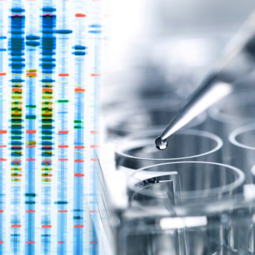 Genetic Testing | DNA Test | DNA Story